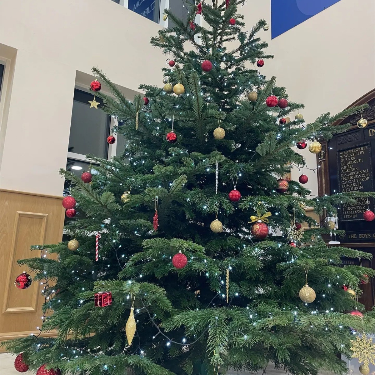 The Priory City of Lincoln Academy - Christmas 2022
